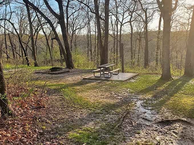 Golden hour transforms this simple campsite into something worthy of a landscape painting, fire ring included.
