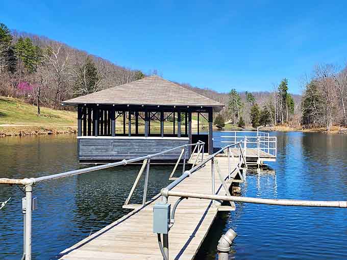 The floating pavilion offers a unique perspective on the park's stunning water and woodland scenery.