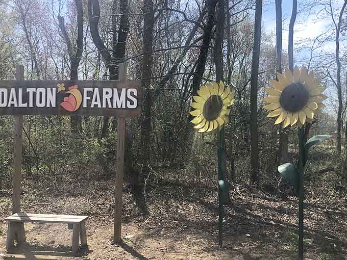 Giant decorative sunflowers mark the perfect spot for photos, in case the actual flower fields weren't photogenic enough.