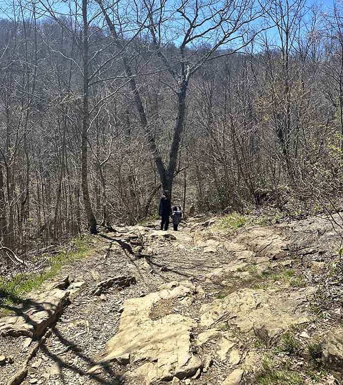 The rocky forest path in early spring shows nature waking up from winter, stretching and getting ready for showtime.