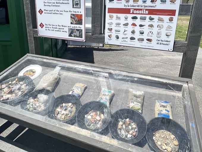 The gem mining station lets visitors sift through materials searching for treasures, adding a geological twist to construction fun.