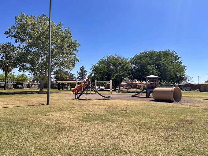 Green space where kids can actually be kids without someone trying to monetize their childhood memories.