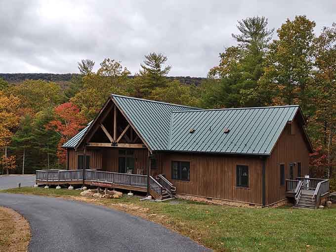 These lodges offer the sweet spot between camping and comfort, perfect for nature lovers who also love roofs.