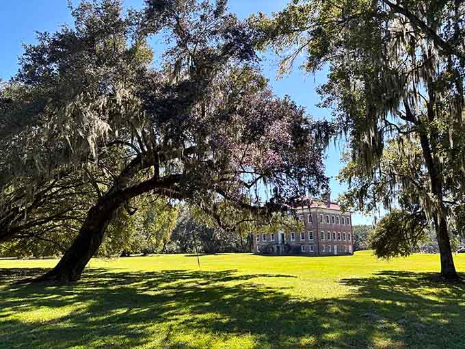 These ancient live oaks have witnessed everything from Revolutionary War troops to modern-day tourists with selfie sticks.