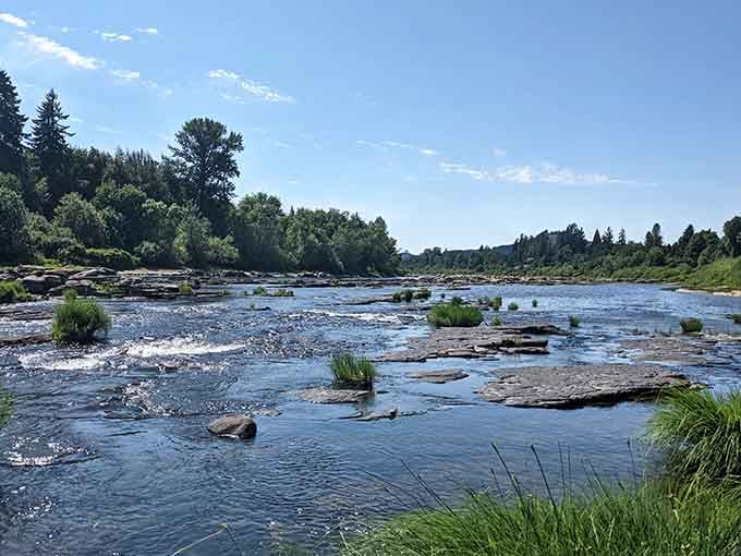 The Umpqua River flows clear and inviting, calling to anglers and daydreamers with equal enthusiasm.