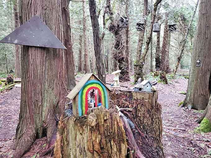 A rainbow-arched doorway marks another gnome dwelling, because even magical forest creatures appreciate cheerful exterior decorating choices.