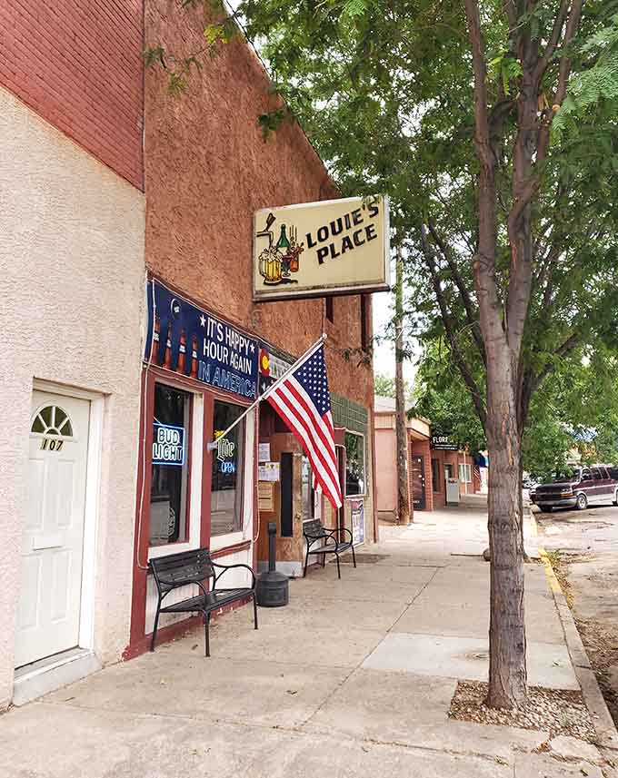 The classic small-town bar with its vintage sign and American flag represents the kind of neighborhood gathering spot every community needs.