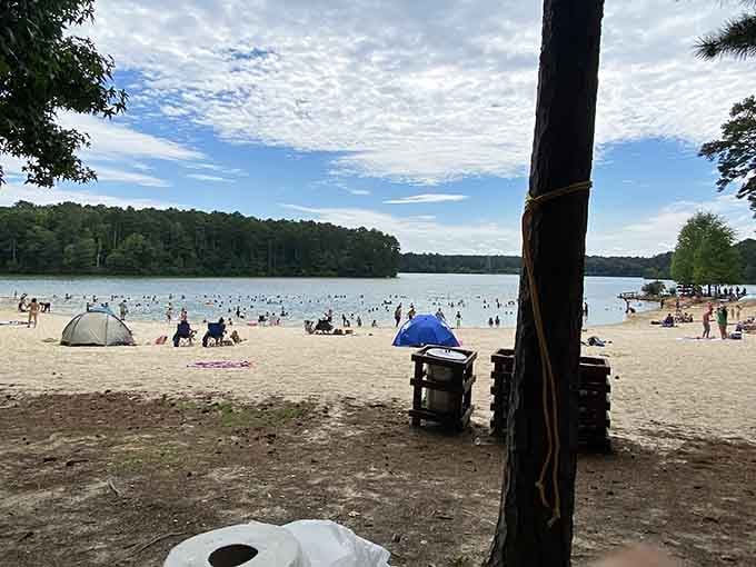 A sandy beach in the Georgia woods feels like finding a twenty-dollar bill in old jeans.