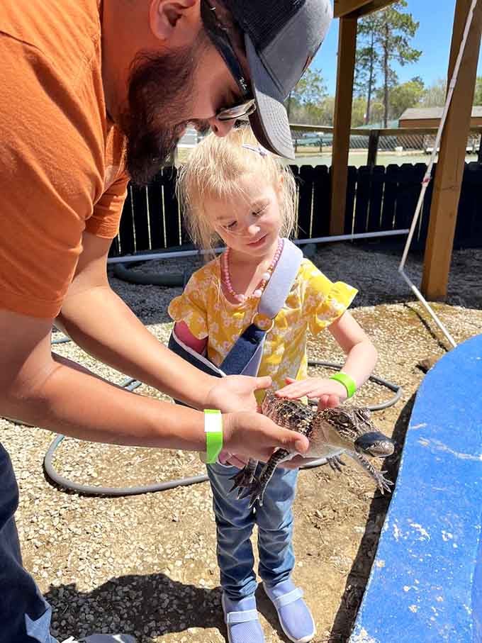 Holding a baby gator is adorable until you remember what adorable grows into around here.