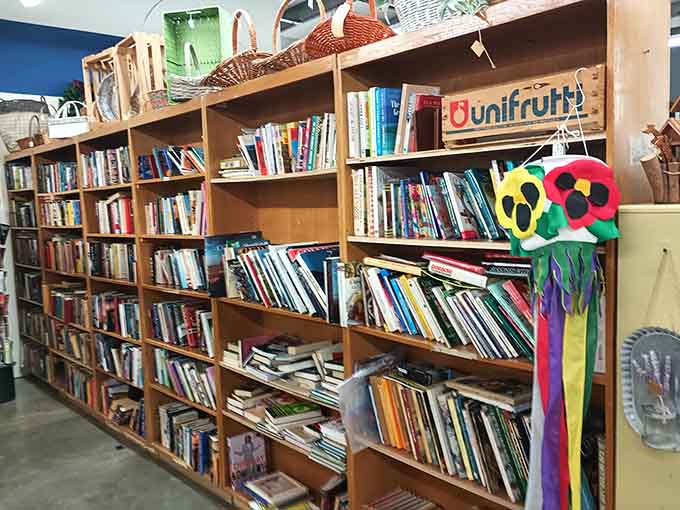 Shelves packed with stories, from bestsellers to forgotten gems, all waiting for their next reader.