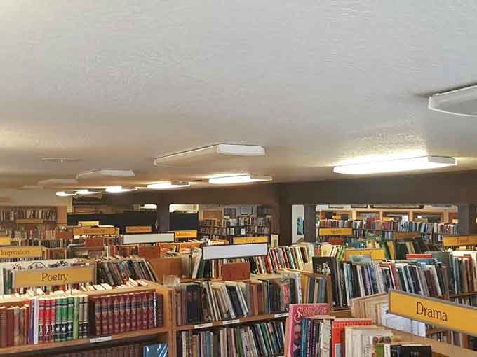Rows of carefully organized books stretch before you like a reader's dream come true.