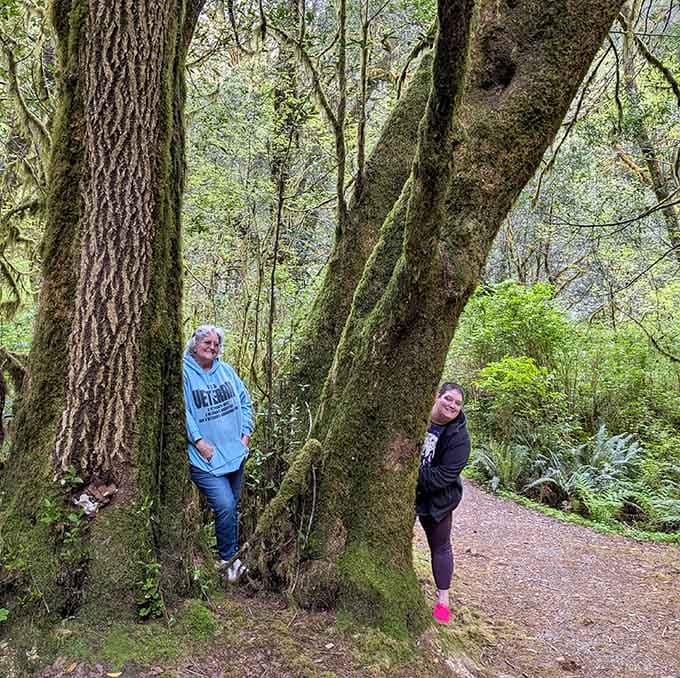 Giant trees dwarf visitors, providing perspective on just how small we are in nature's grand cathedral of green.