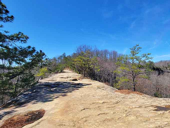 Above ground, the natural rock formations hint at the geological wonders waiting in the depths below your feet.