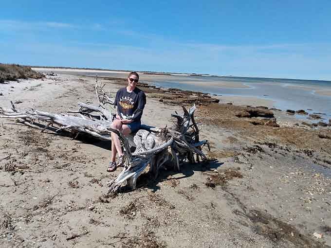 When driftwood becomes your throne, you're officially doing beach life right, no matter what anyone else thinks.