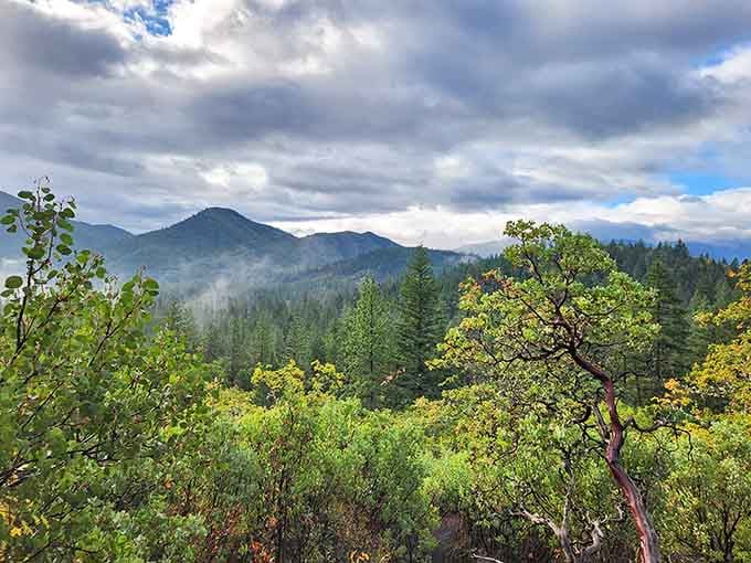 Cathedral Hills delivers the kind of sweeping mountain views that make every step of the hike feel completely worth it.
