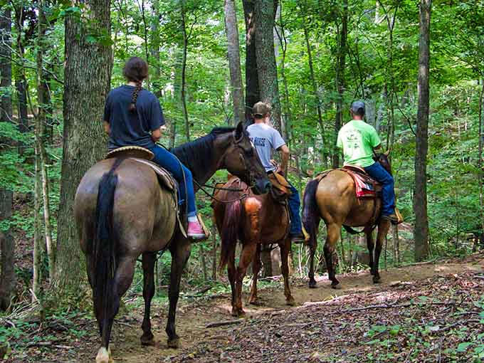 Horseback trail riding through wooded paths adds a whole new dimension to your lake adventure beyond just water activities.