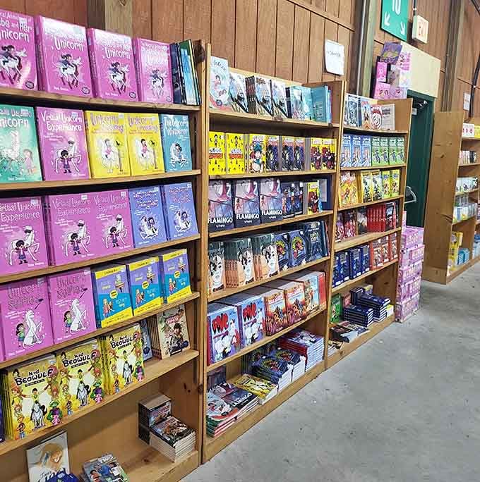 Young readers' paradise where unicorns, adventures, and imagination reign supreme in colorful glory.