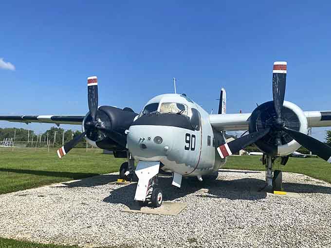 The Grumman Trader looks like it could still haul cargo tomorrow if someone just asked nicely.
