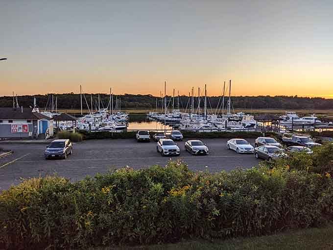 Golden hour at the marina transforms ordinary boats into silhouettes against a sky that photographers dream about nightly.