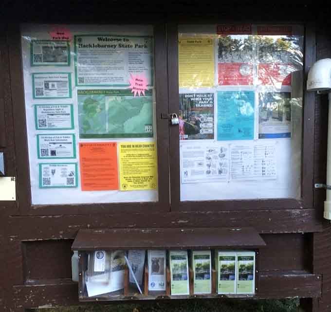 The information board holds the secrets to your adventure, like a treasure map without the pirates or parrots.