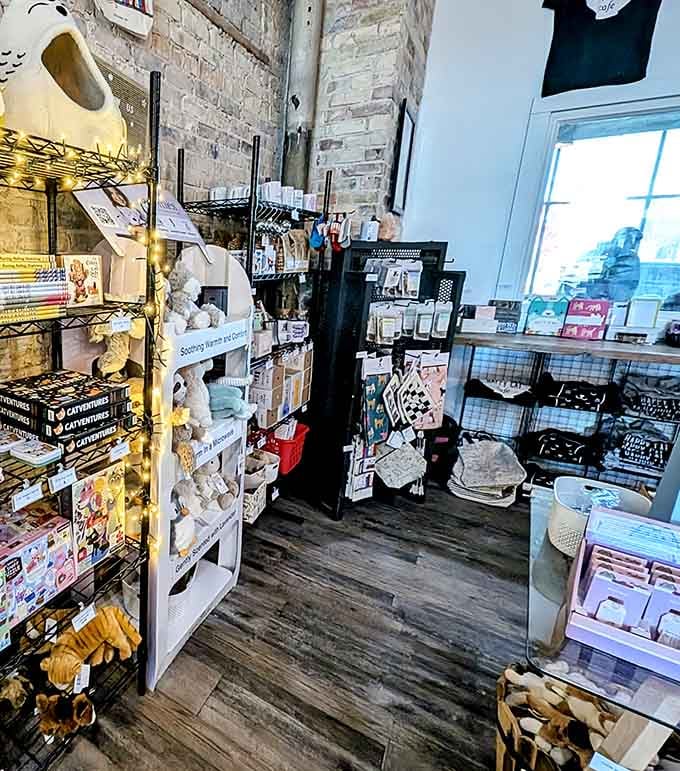 The retail wall stocks everything cat-obsessed hearts desire, from toys to treats to feline-themed gift items galore.