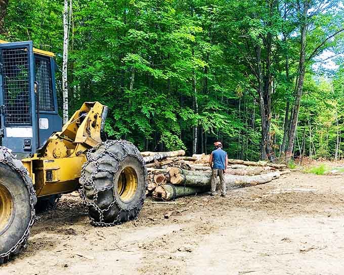Logging remains part of the local economy, connecting modern residents to the town's timber heritage and traditions.