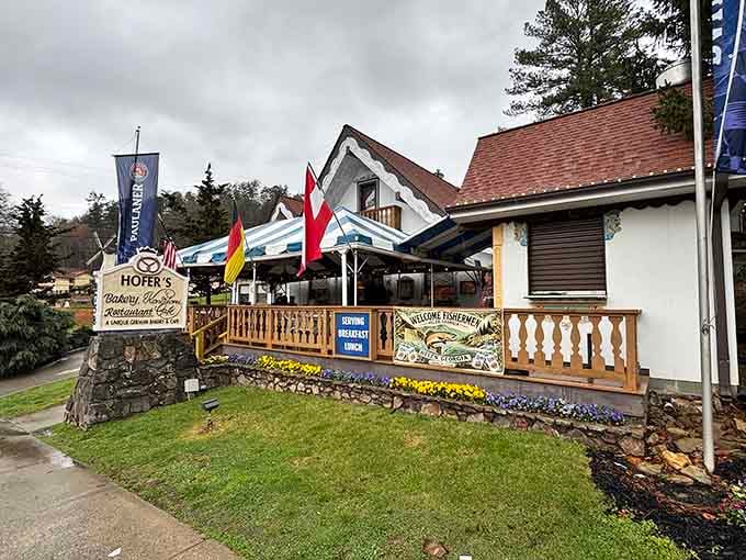 Hofer's Bakery sits ready to ruin your diet with authentic German pastries that justify every delicious calorie.