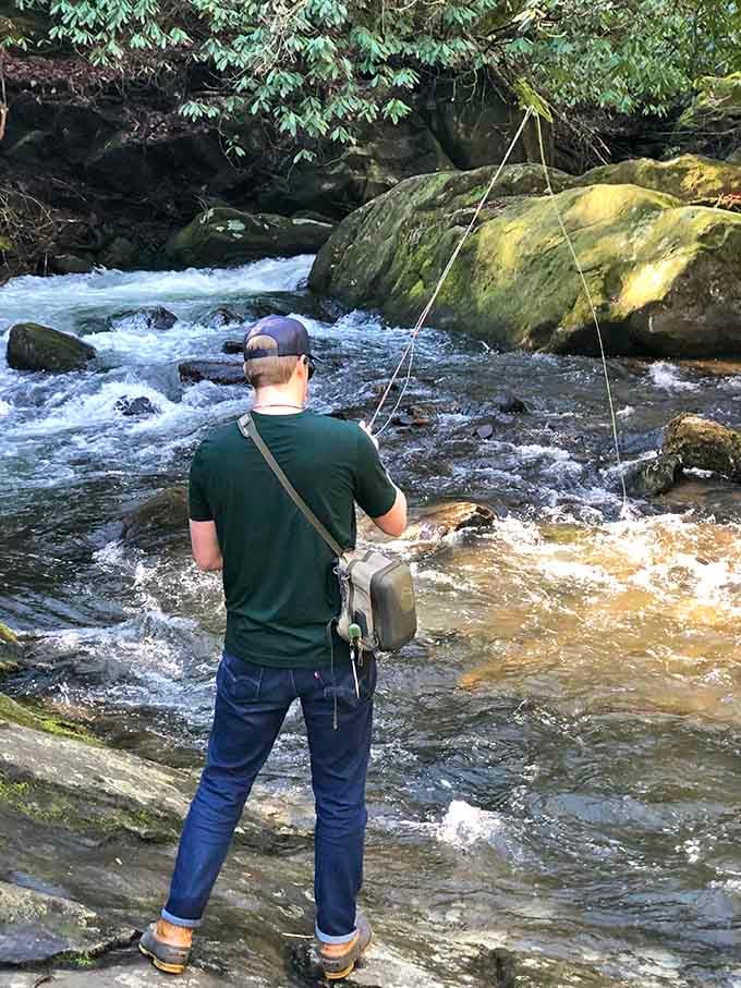 Fly fishing in these pristine mountain waters beats any office view you've ever had, guaranteed.