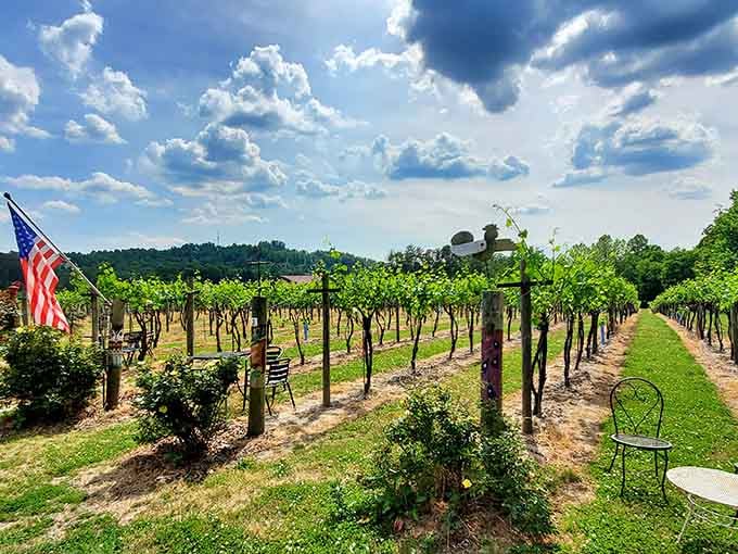 Saint Paul Mountain Vineyards stretches across the hillside, turning sunshine and soil into something worth sipping slowly.