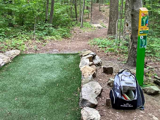 Tee pads provide the perfect launching spot for discs destined for glory or, more likely, nearby shrubbery.