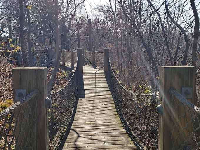 Wooden bridges connect different worlds here, making you feel like an adventurer without leaving Ohio.