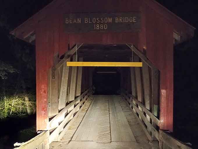 At night, the bridge transforms into something from a storybook, minus the trolls and unrealistic expectations.