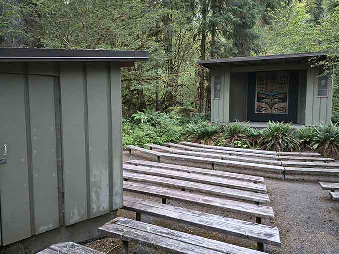 Outdoor seating areas let you pause and absorb the forest's peaceful energy before continuing your adventure.