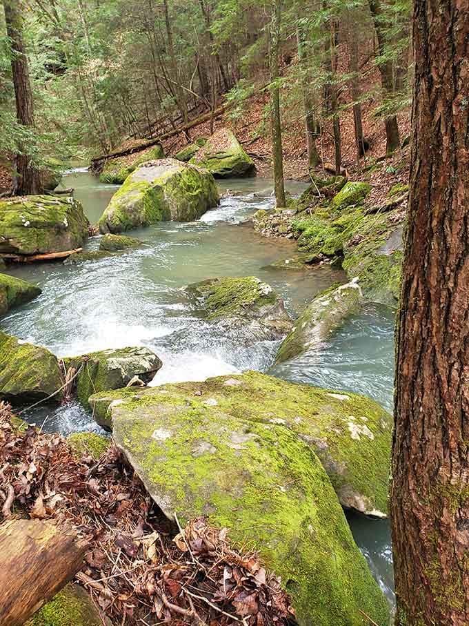 The river flows with that timeless quality that reminds you some things never change, thankfully so.