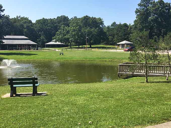 Crystal Lake Park surrounds peaceful waters where families gather and admission costs exactly nothing at all.