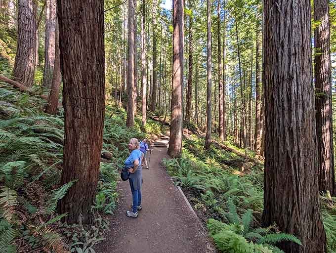 Hikers on the trail look tiny among these redwoods, which is exactly the humbling perspective we all need.