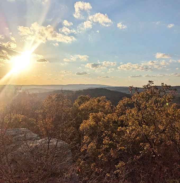 Golden hour transforms autumn foliage into liquid amber, painting the forest in warmth that photographs can barely capture.