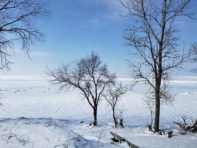 Winter transforms the lakeshore into a frozen wonderland that looks like Narnia decided to visit Indiana.