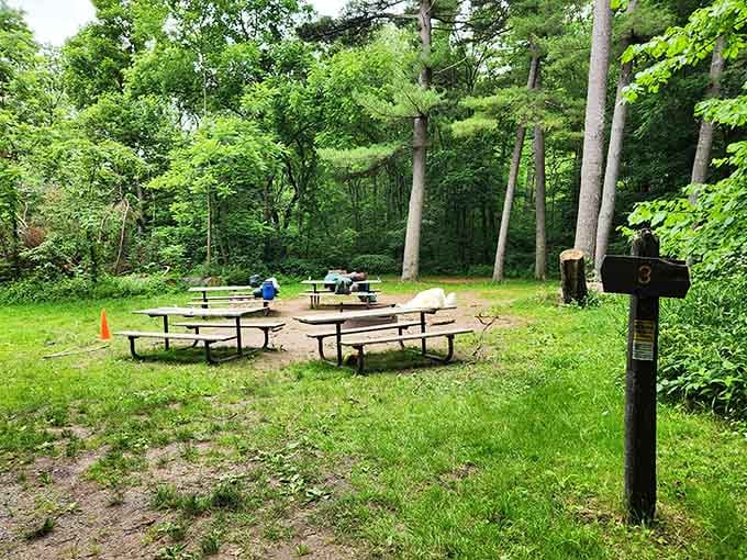 Picnic tables nestle among trees where lunch tastes better with billion-year-old rocks as your dining companions.