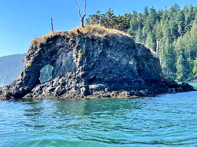 Tiny rock islands sprout determined trees, proving that life finds a way even in unlikely places.