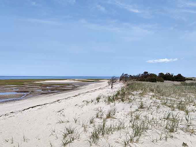 Wide sandy beaches stretch endlessly, perfect for those who prefer solitude over summer crowds.