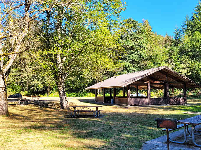 The picnic shelter stands ready for family gatherings that won't get rained out by Washington weather.