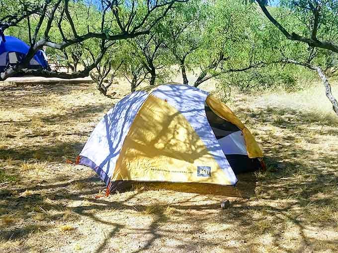 Tent camping under Arizona stars that shine brighter than your neighbor's Christmas light display back home.