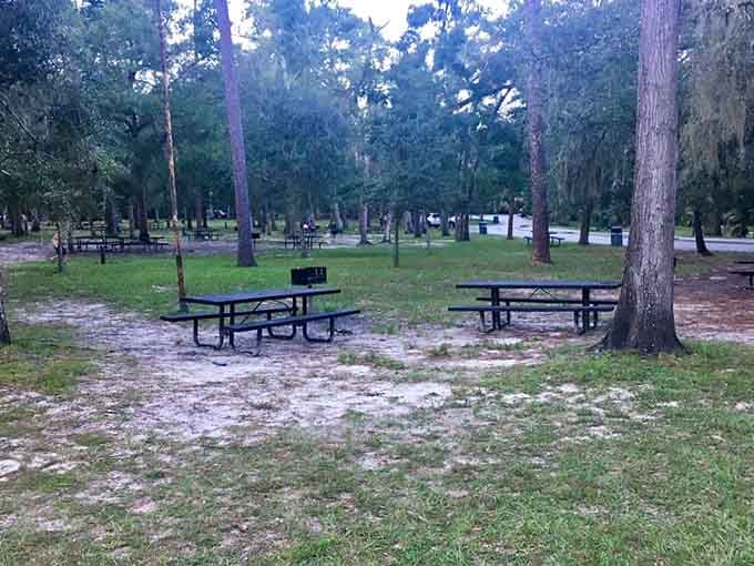 Picnic tables under ancient oaks where your biggest decision is whether to grill burgers or hot dogs first.