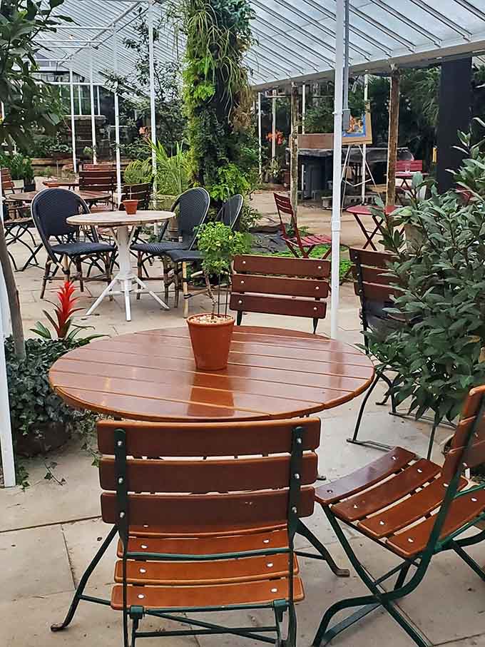 The greenhouse seating area with potted plants creates that perfect balance between indoors and outdoors that humans secretly crave.