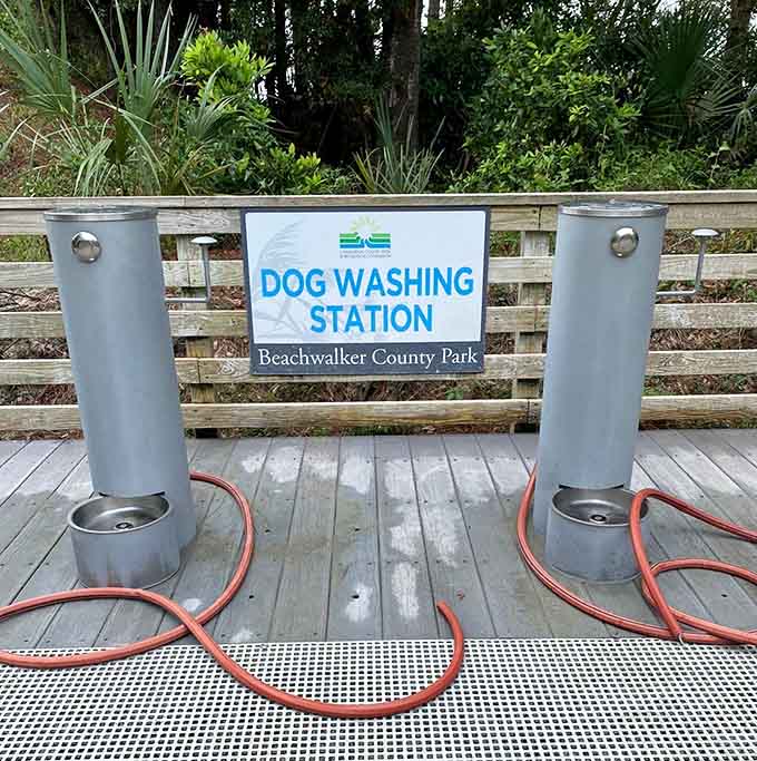 A dog washing station proves that someone actually thought about every detail, including your sandy best friend's needs.