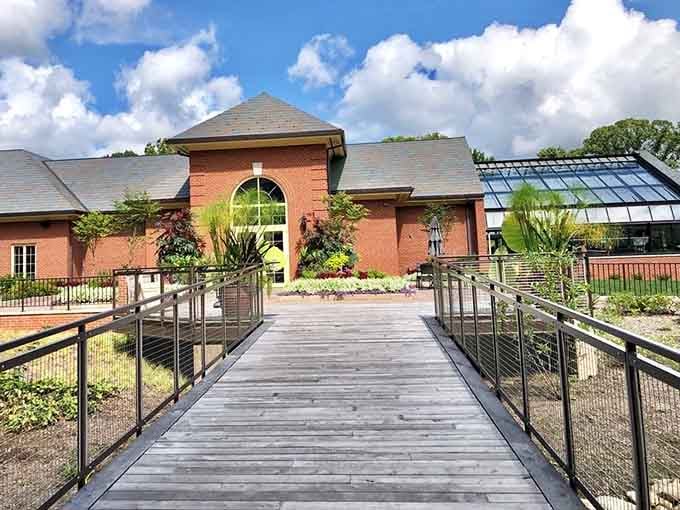 Boardwalks guide you through wetland areas where nature does its thing without requiring your input or unsolicited gardening advice.