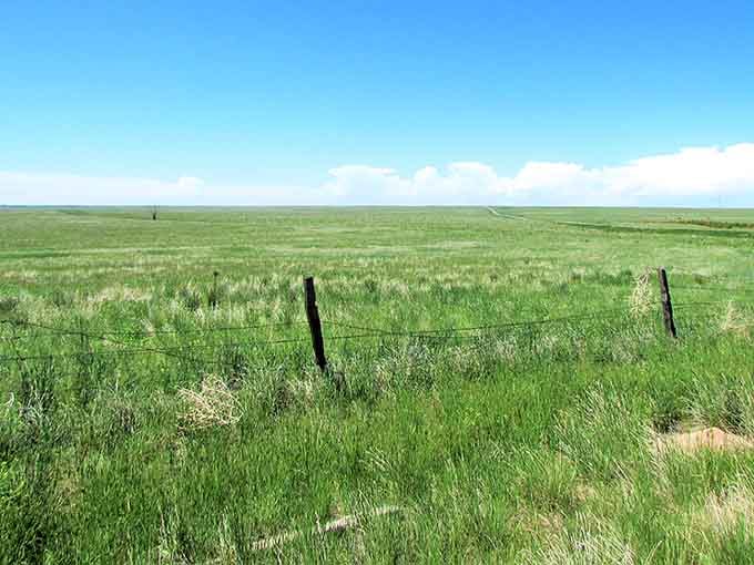Spring green carpets the plains in a color so vibrant it makes your eyes happy.