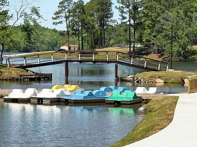 Paddle boats waiting patiently for their next adventure, because sometimes the best transportation has pedals and bright colors.