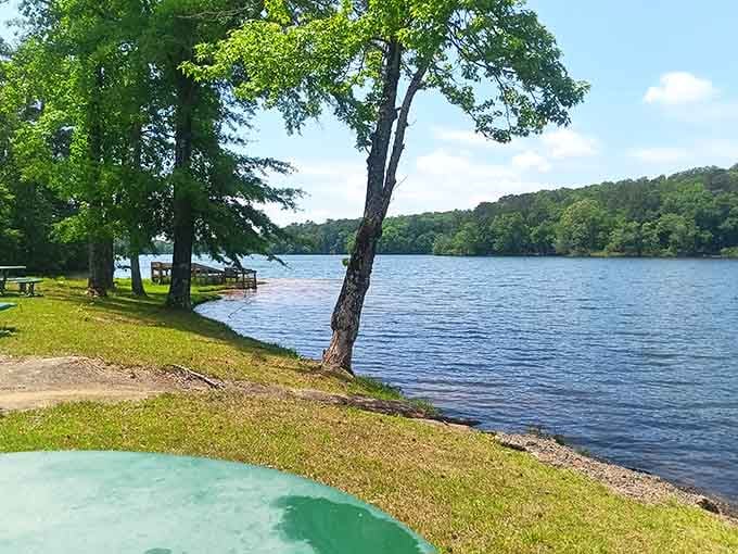 Waterfront views from grassy shores create those postcard moments that make your friends jealous on social media.